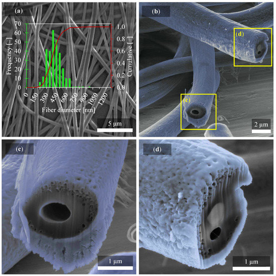 Comprehensive Characterization of PVDF Nanofibers at Macro- and Nanolevel