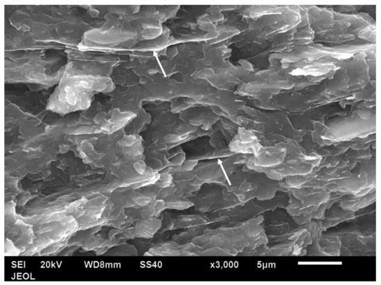 Amorphous Poly(ethylene terephthalate) Composites with High-Aspect ...