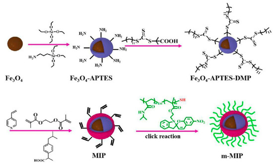 Molecularly Imprinted Polymers as State-of-the-Art Drug Carriers in ...