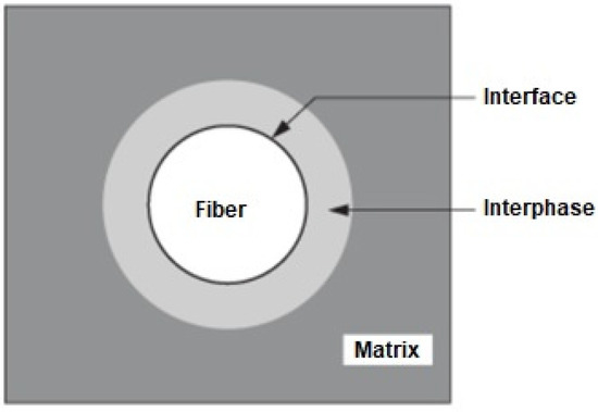 Potential of Using Amazon Natural Fibers to Reinforce Cementitious ...