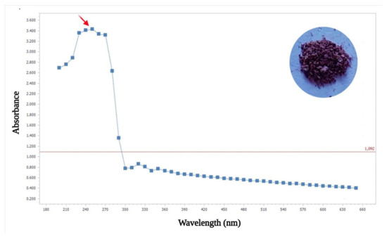 Stress Dependent Biofilm Formation and Bioactive Melanin Pigment ...