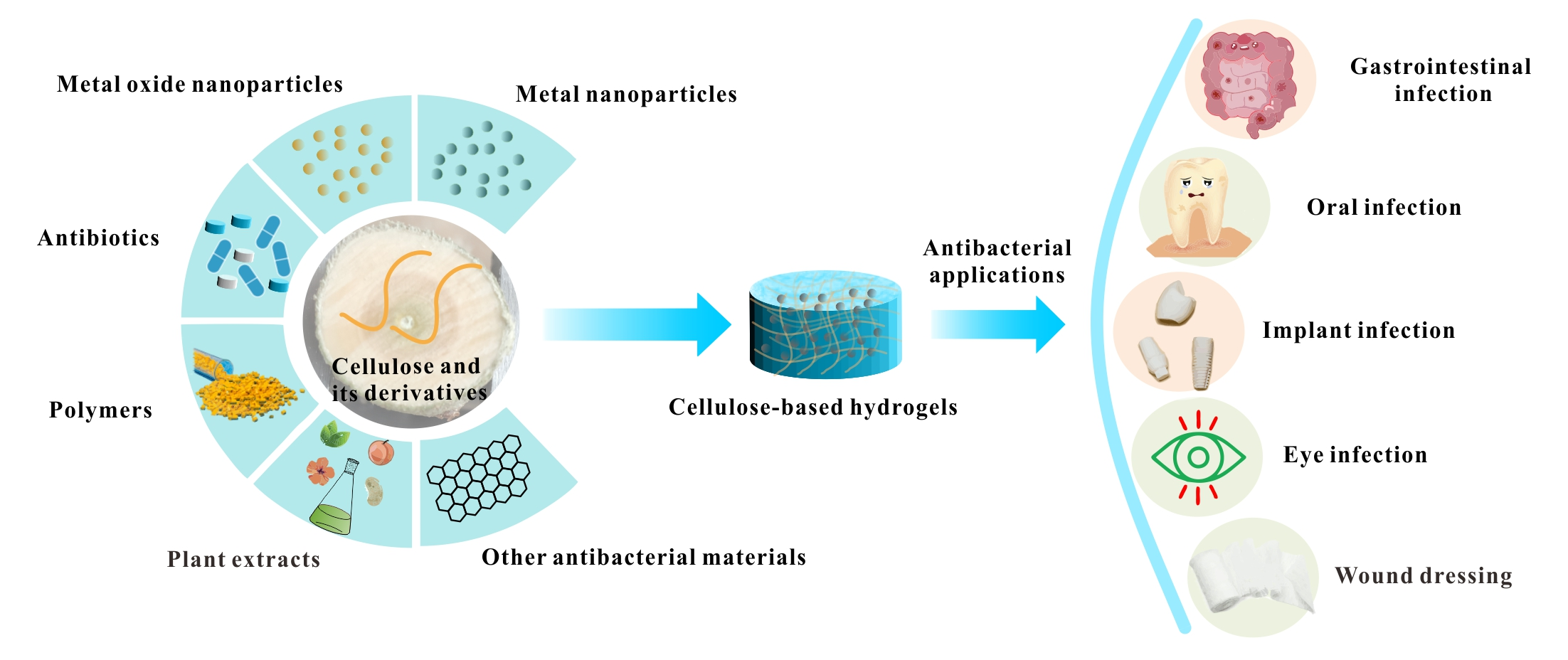 Polymers | Free Full-Text | Functionalization and Antibacterial ...
