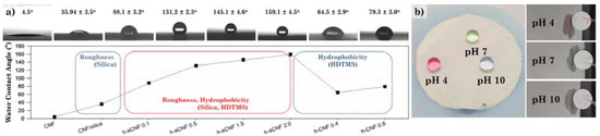 Fabrication and Characterization of Hydrophobic Cellulose Nanofibrils ...