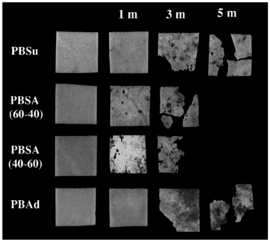A Brief Review of Poly (Butylene Succinate) (PBS) and Its Main ...