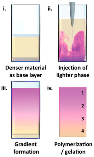 Gradient Hydrogels—Overview of Techniques Demonstrating the Existence ...