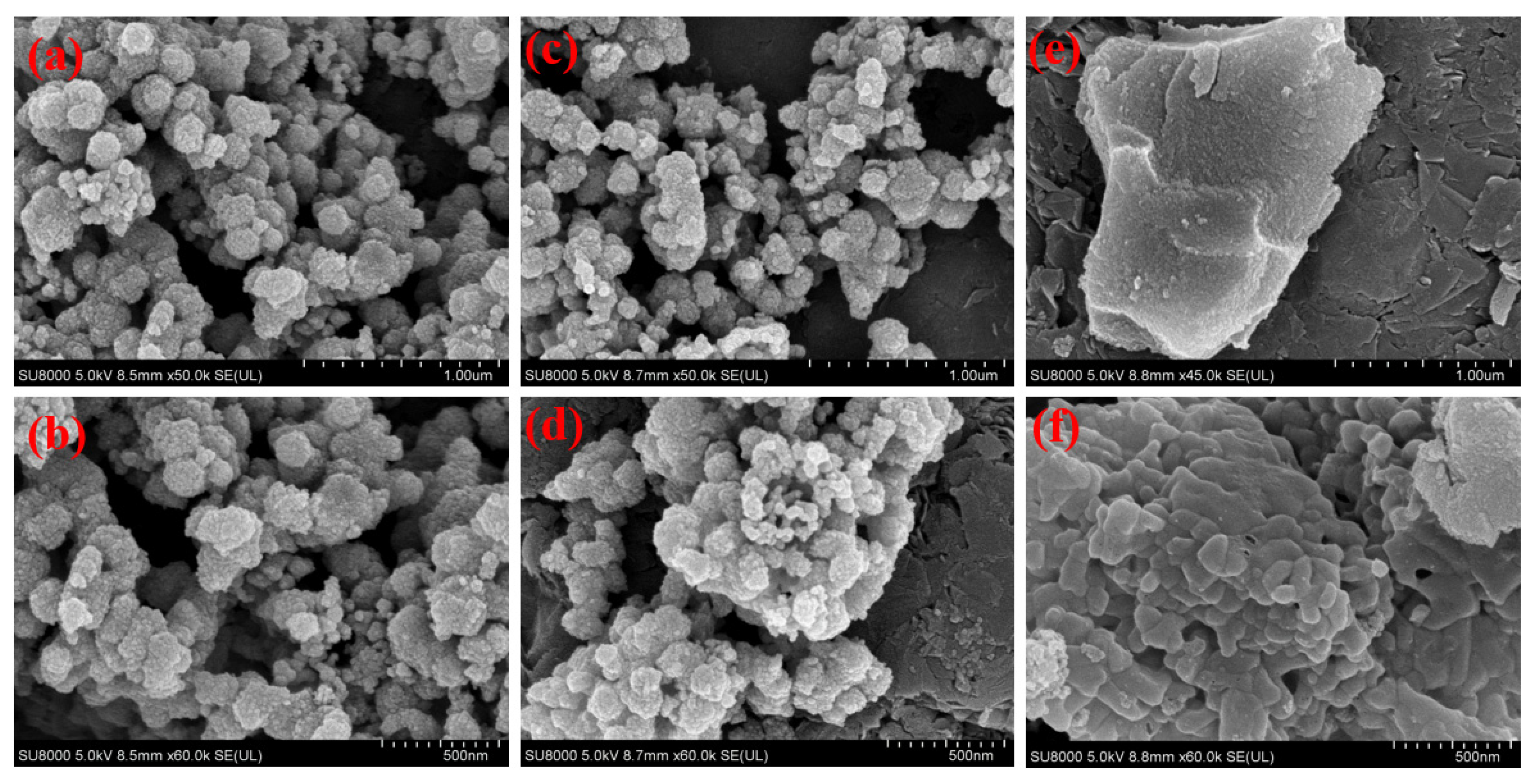 Design and Preparation of Biomass-Derived Activated Carbon Loaded TiO2 ...