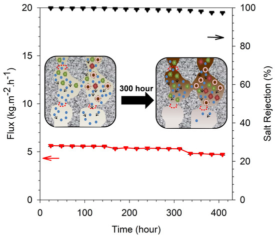 Salts failed to install a dependency - fabulousporet