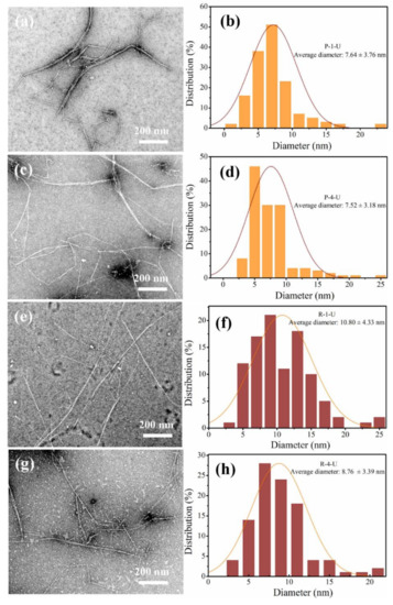 A Comparative Investigation on Structural and Chemical Differences ...