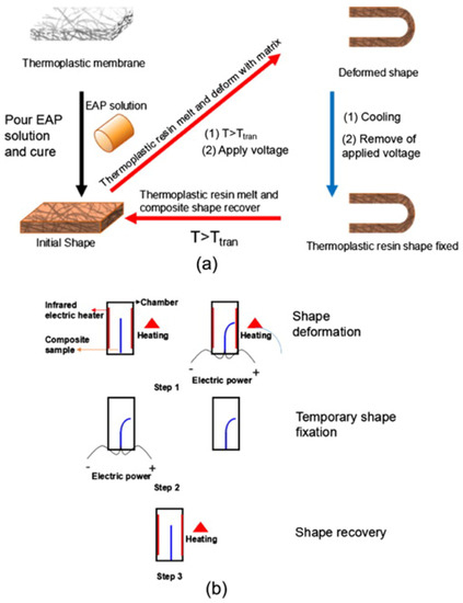 Shape-Memory Materials via Electrospinning: A Review