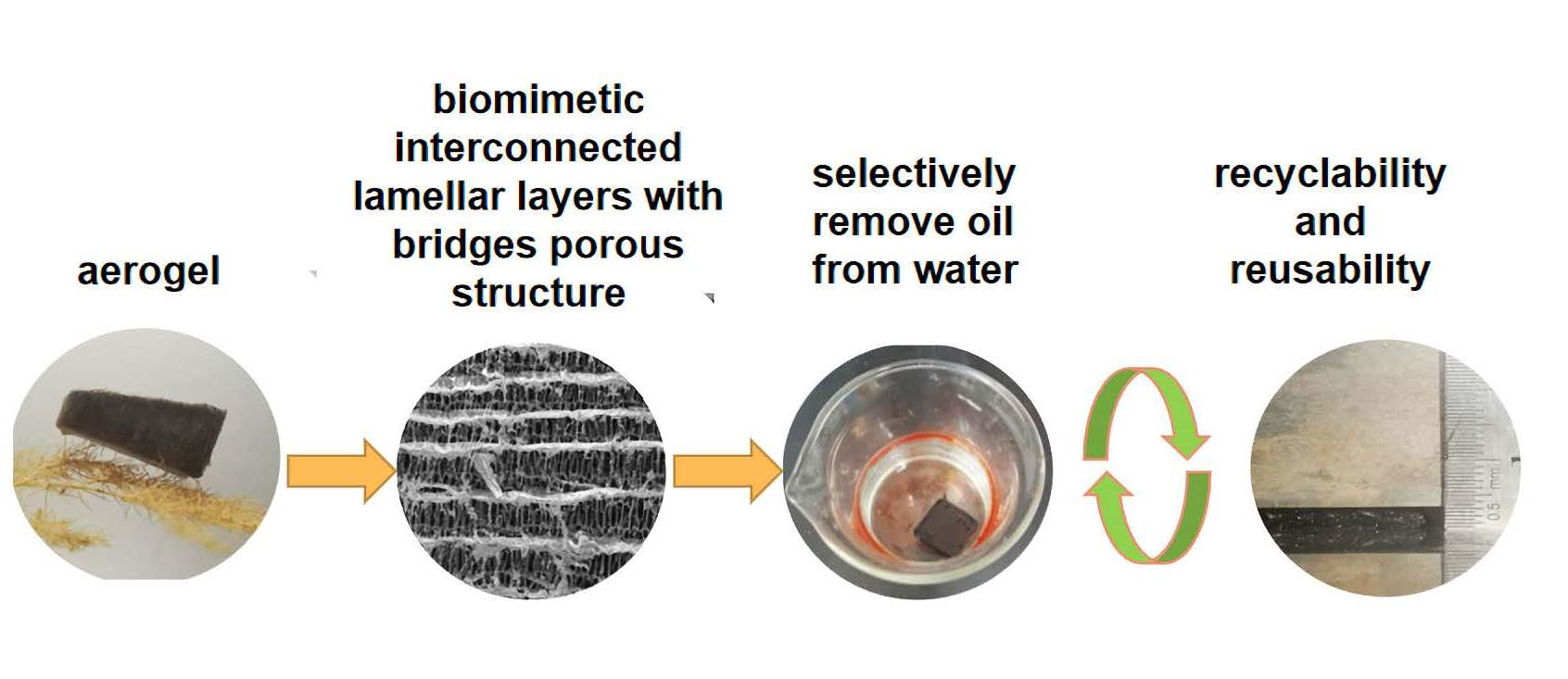 Polymers | Free Full-Text | Biomimetic, Highly Reusable and Hydrophobic ...