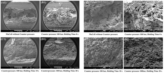 Polymers | Free Full-Text | Effect of Gas Counter Pressure on the ...