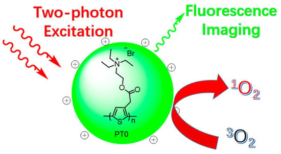 Fluorescent Polymers Conspectus