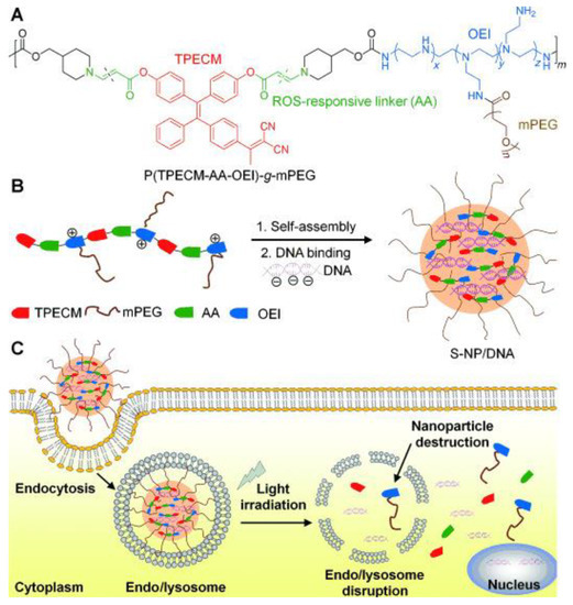 Fluorescent Polymers Conspectus