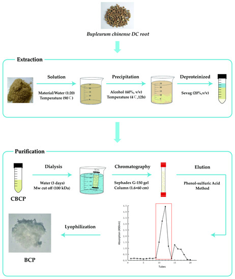 The Structural Characteristics of an Acidic Water-Soluble ...