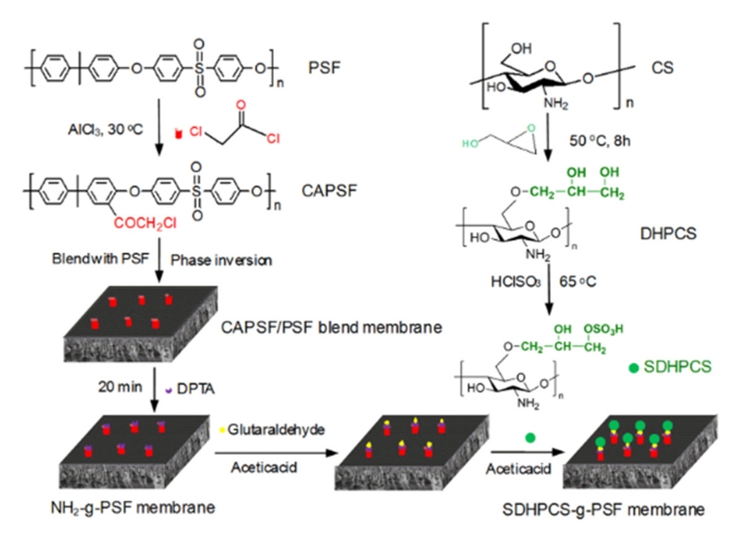 Functionalized Hemodialysis Polysulfone Membranes with Improved Hemocompatibility