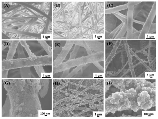 Poly-l-Lactic Acid (PLLA)-Based Biomaterials for Regenerative Medicine ...