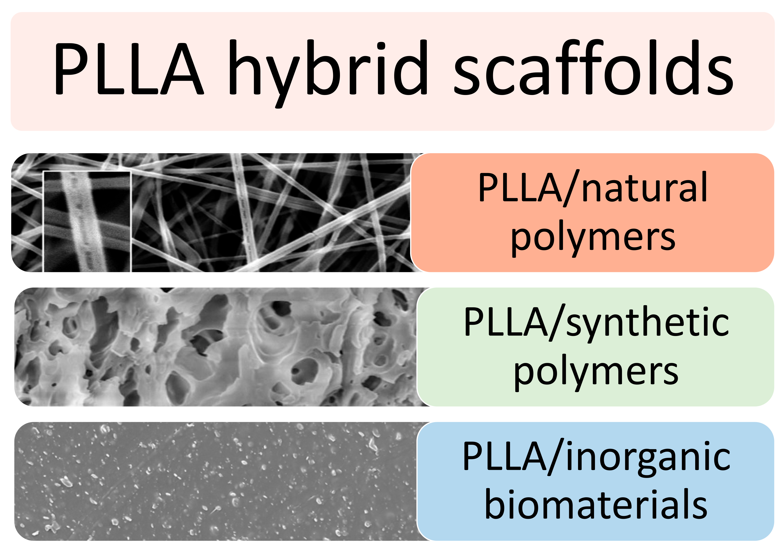 Poly-l-Lactic Acid (PLLA)-Based Biomaterials for Regenerative Medicine ...