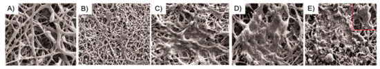 Poly-l-Lactic Acid (PLLA)-Based Biomaterials for Regenerative Medicine ...