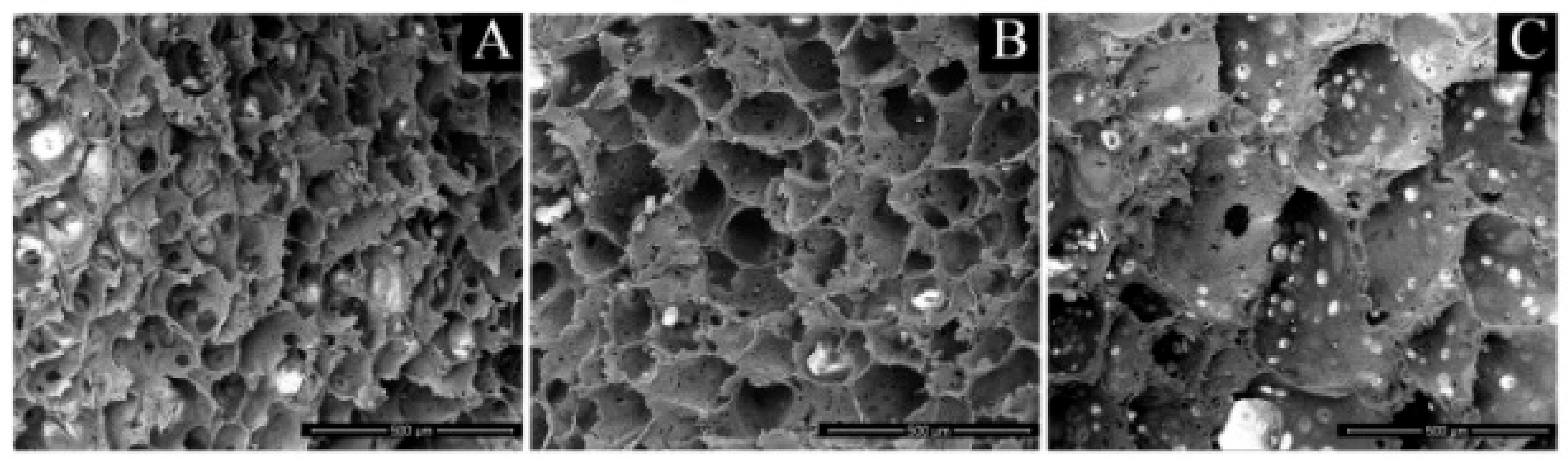 Poly-l-Lactic Acid (PLLA)-Based Biomaterials for Regenerative Medicine ...