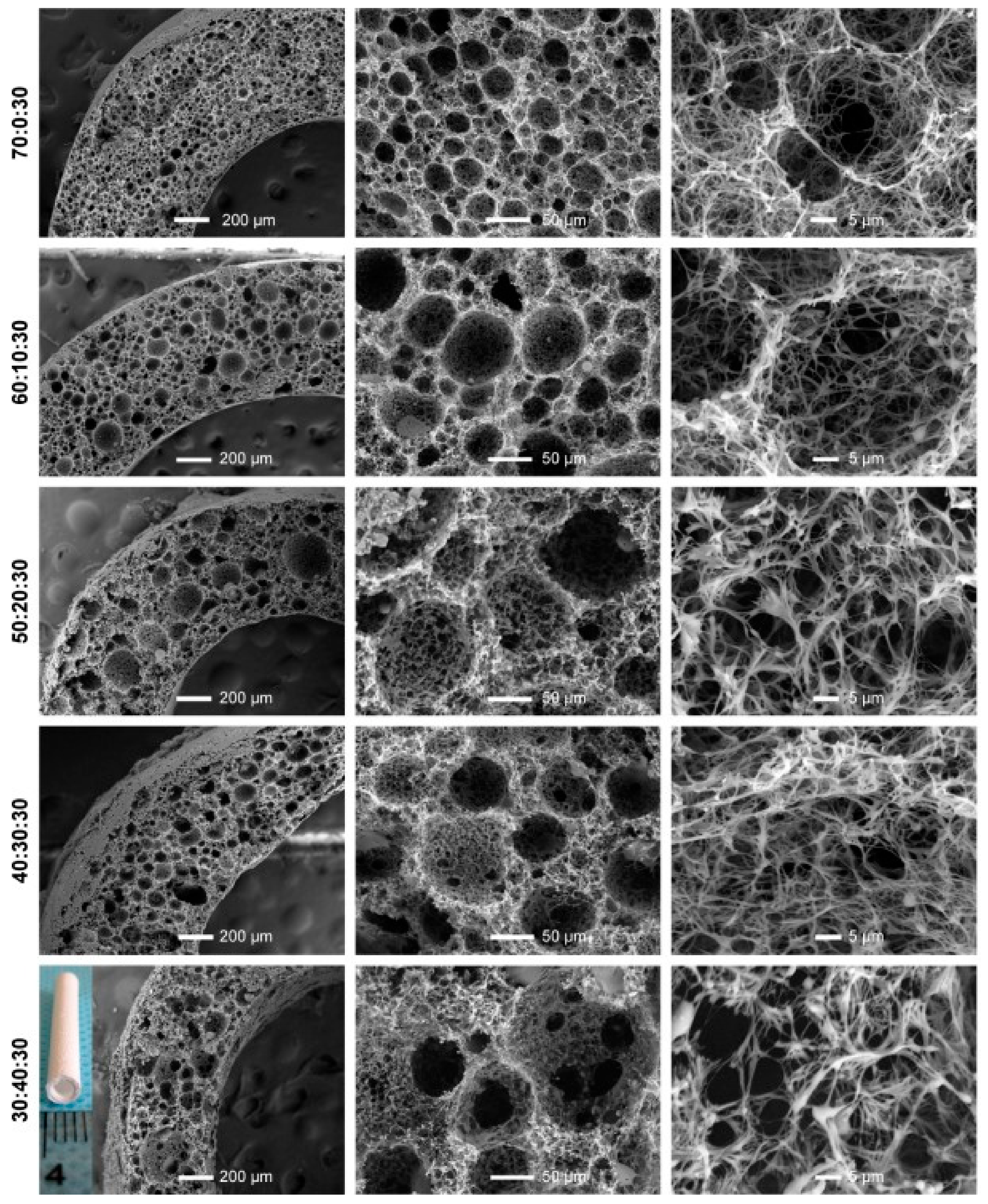 Poly-l-Lactic Acid (PLLA)-Based Biomaterials for Regenerative Medicine ...