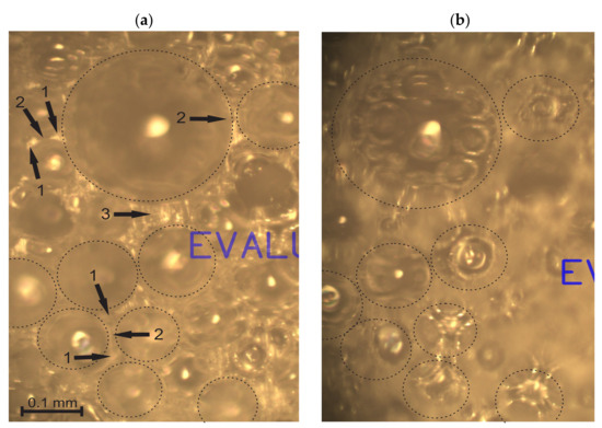 Light Microscopy of Medium-Density Rigid Polyurethane Foams Filled with ...