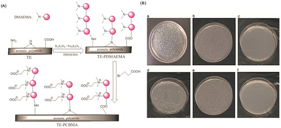 Advancing Strategies of Biofouling Control in Water-Treated Polymeric Membranes
