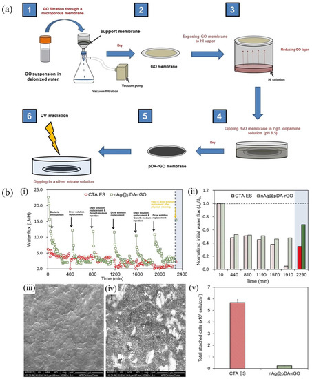 Advancing Strategies of Biofouling Control in Water-Treated Polymeric Membranes