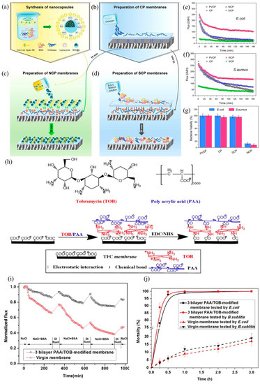 Advancing Strategies of Biofouling Control in Water-Treated Polymeric Membranes