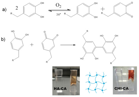 Polymers | Special Issue : Bio-Based Polymers' Application and ...