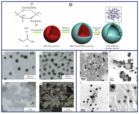 Polymers | Free Full-Text | Polyacrylic Acid Nanoplatforms ...