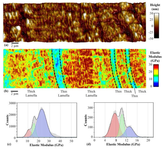 Atomic Force Microscopy (AFM) on Biopolymers and Hydrogels for ...