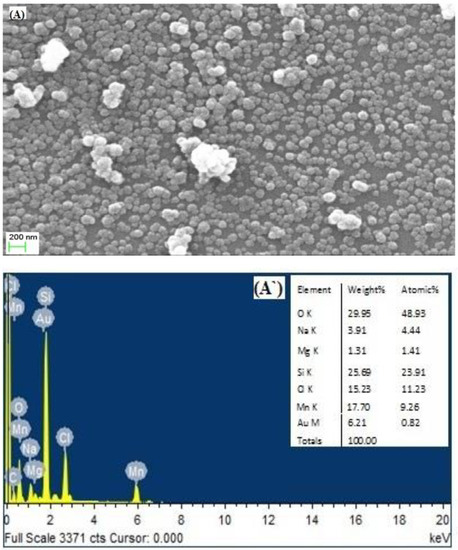 Synthesis of Alginate Nanogels with Polyvalent 3D Transition Metal ...