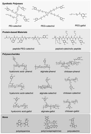 Systematic Approach to Mimic Phenolic Natural Polymers for Biofabrication