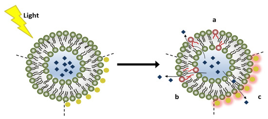Photo-Induced Drug Release from Polymeric Micelles and Liposomes ...