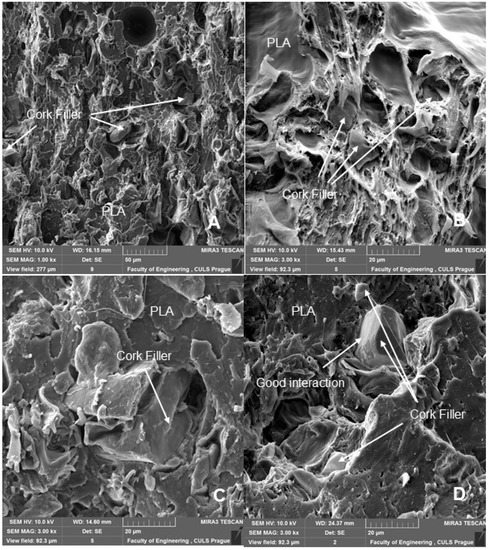 Low-Cycle Fatigue Behavior of 3D-Printed PLA Reinforced with Natural Filler
