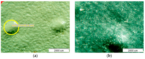 Durability and Degradation of PVC-P Roofing Membrane—Example of Dynamic ...