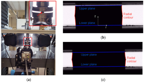 Cyclic Compression Testing of Three Elastomer Types—A Thermoplastic ...