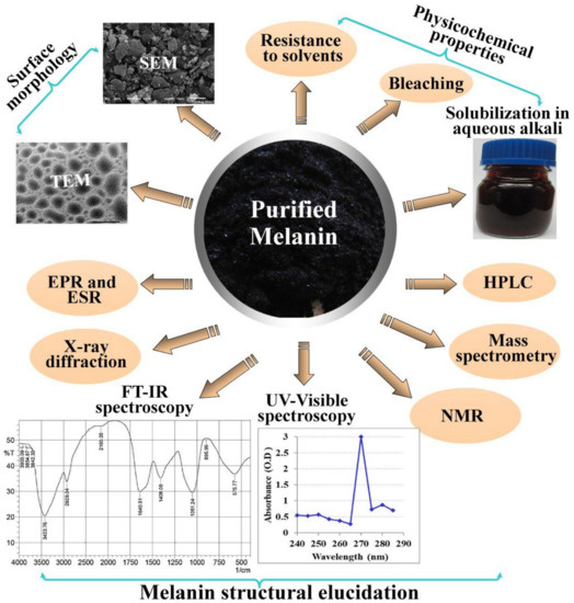 Natural Melanin: Current Trends, and Future Approaches, with Especial ...