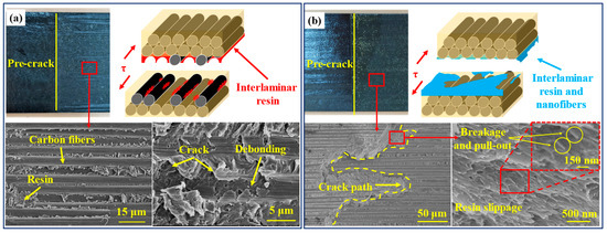 Interlaminar Mechanical Properties and Toughening Mechanism of Highly ...