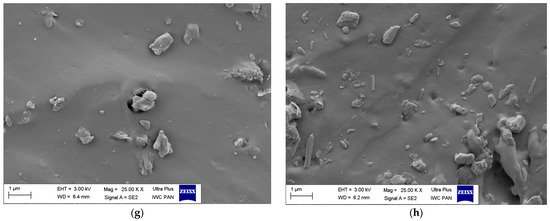 Advanced Ethylene-Propylene-Diene (EPDM) Rubber Composites Filled with ...