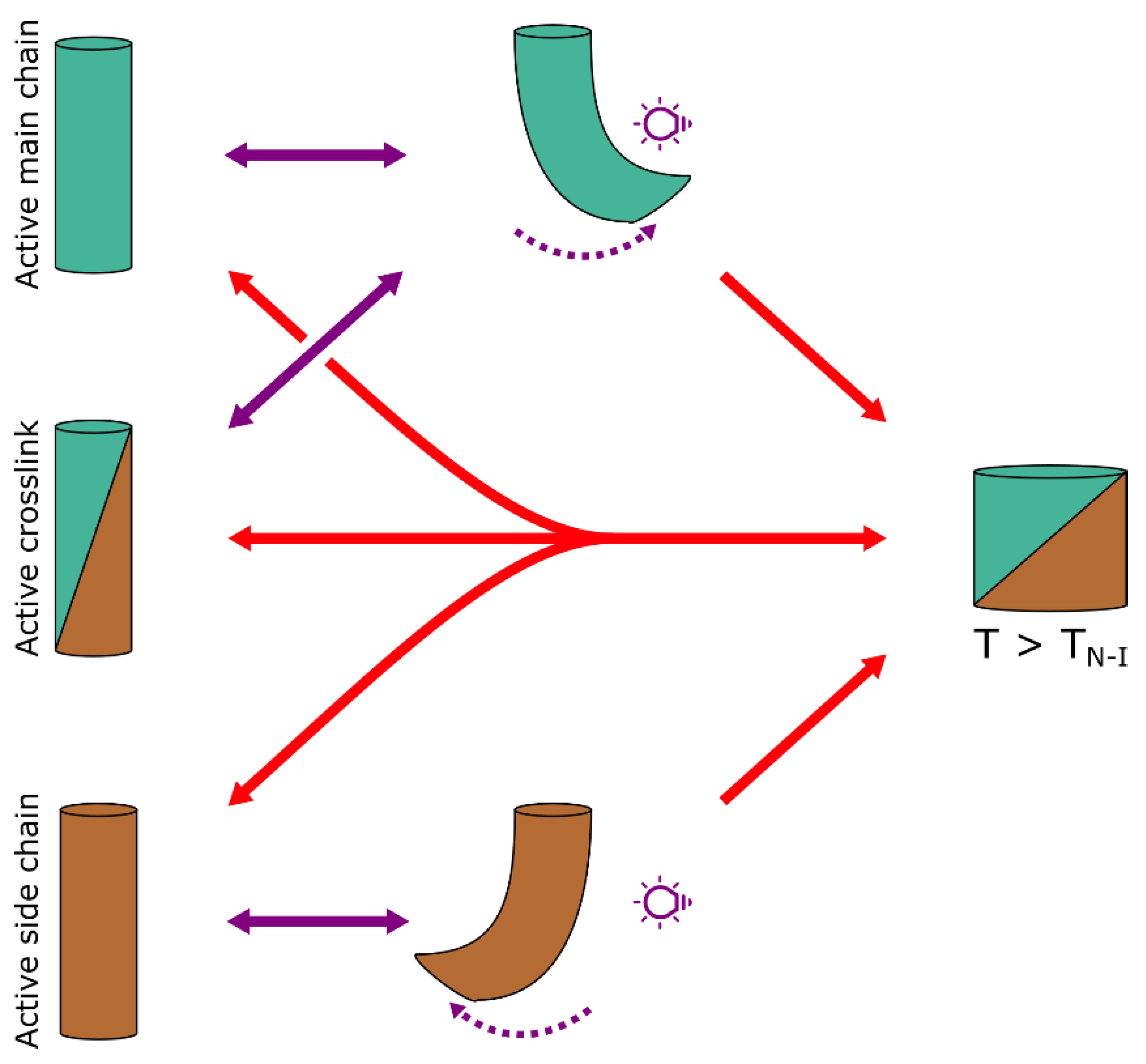 Biomimetic Liquid Crystal Cilia and Flagella