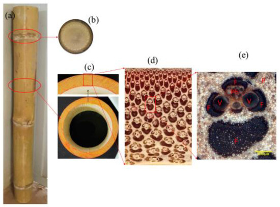 Bamboo-Fiber-Reinforced Thermoset and Thermoplastic Polymer Composites ...