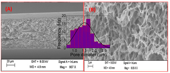 Polyethersulfone Blended with Titanium Dioxide Nanoribbons/Multi-Wall ...