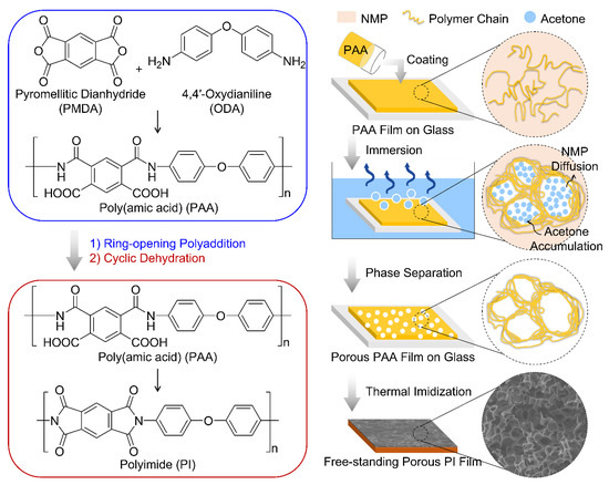 Polymer Concentration and Liquid—Liquid Demixing Time Correlation with ...