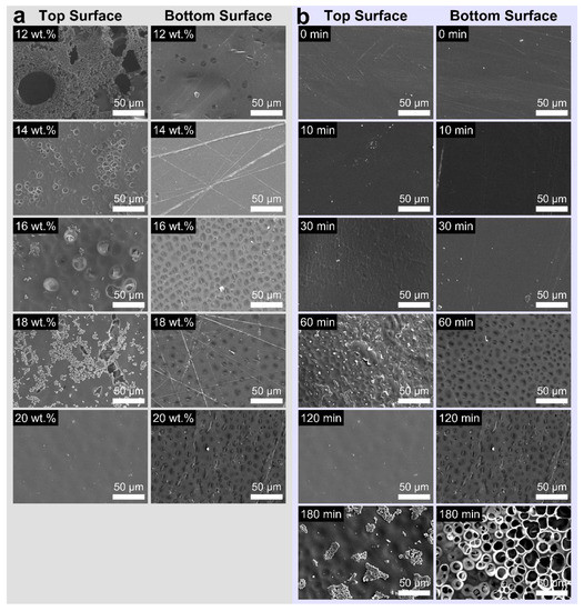 Polymer Concentration and Liquid—Liquid Demixing Time Correlation with ...