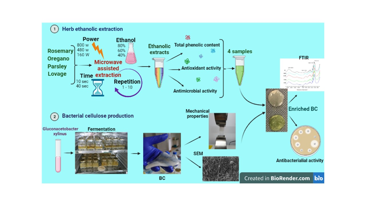 Polymers | Free Full-Text | Antimicrobial Properties of Bacterial ...