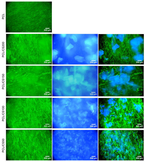 Study on the Incorporation of Chitosan Flakes in Electrospun ...