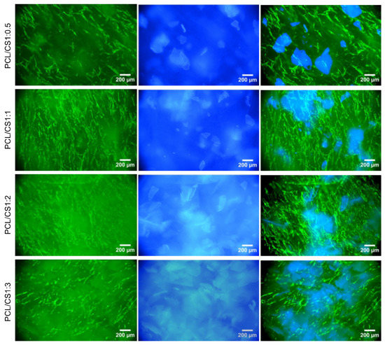 Study on the Incorporation of Chitosan Flakes in Electrospun ...
