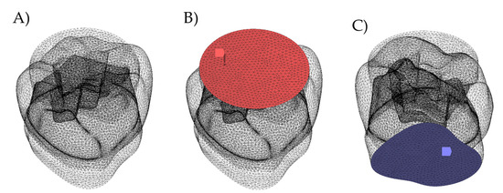 Polymers | Free Full-Text | Mechanical Behavior of Alkasite Posterior ...