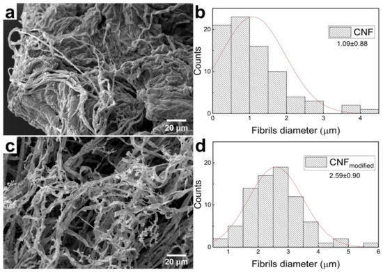 Structure and Properties of Cellulose/Mycelium Biocomposites